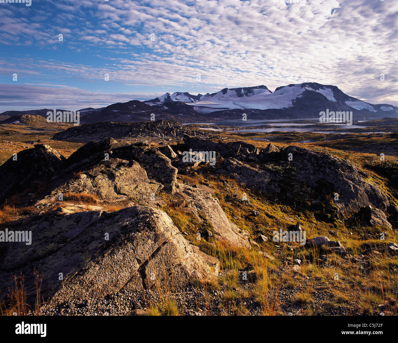 The Fannaraken peaks seen across a rocky foreground of tundra dotted ...