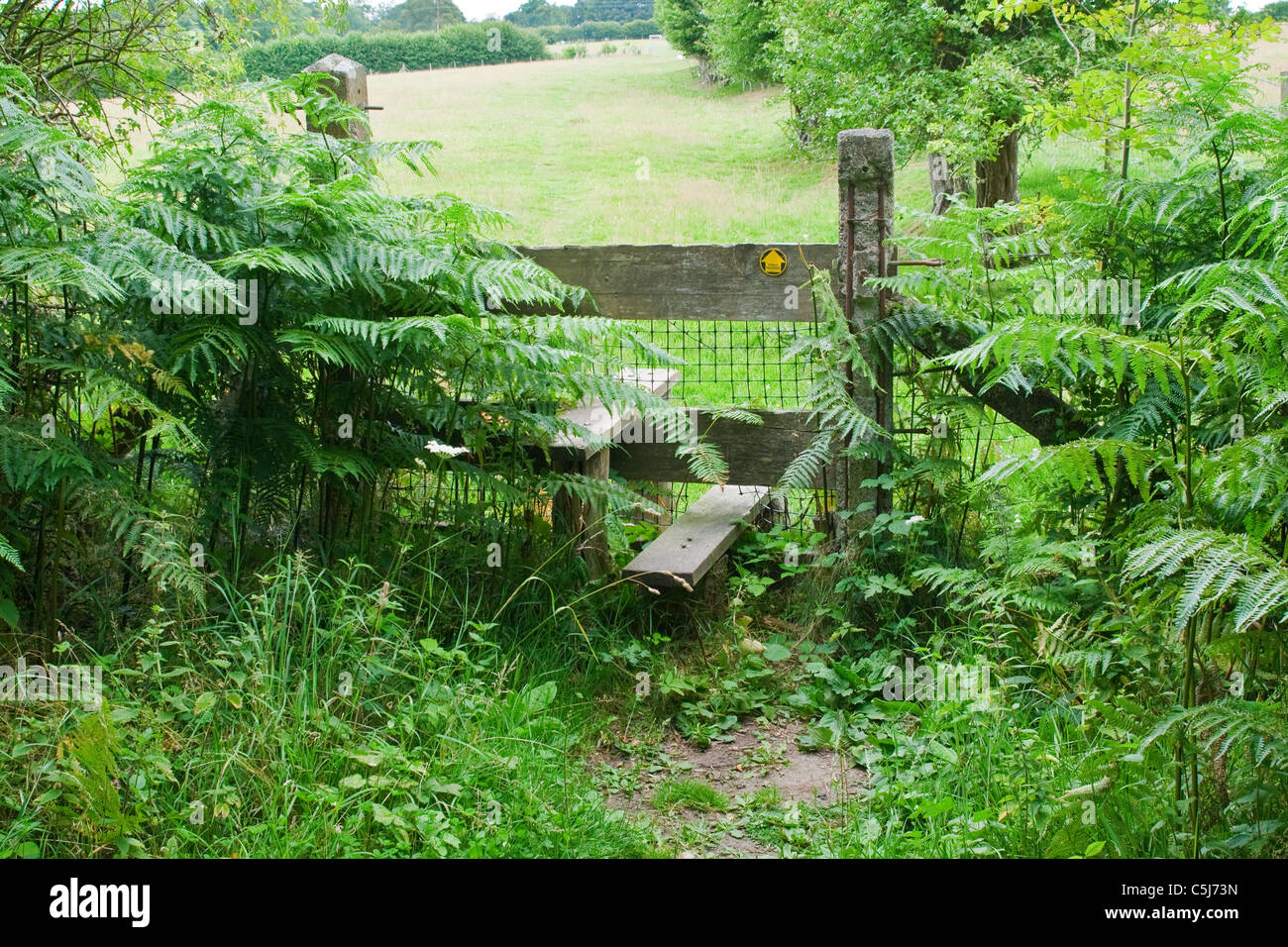 Country stile, public footpath, right of way Stock Photo - Alamy