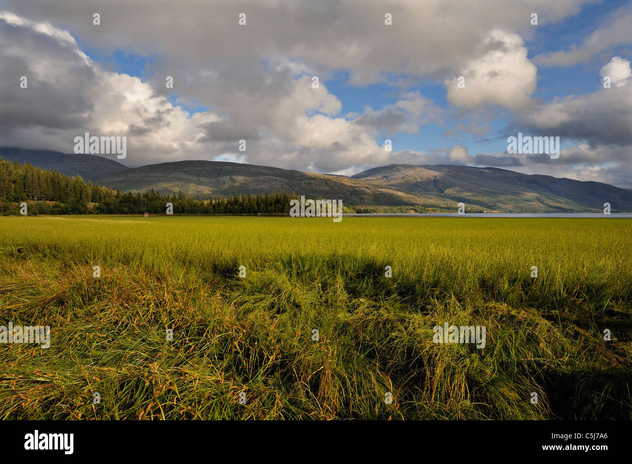 David reed hi-res stock photography and images - Alamy