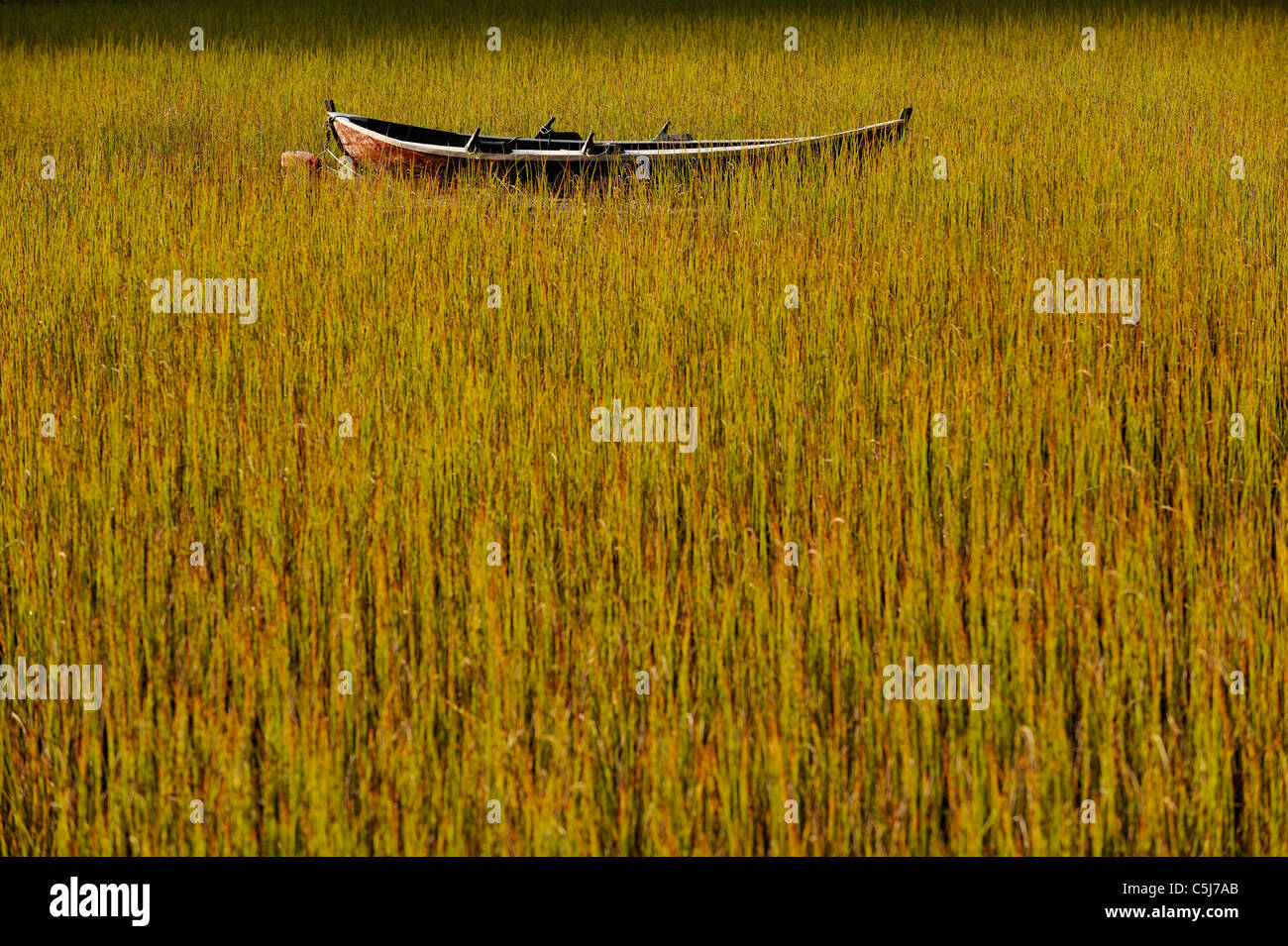 David reed hi-res stock photography and images - Alamy