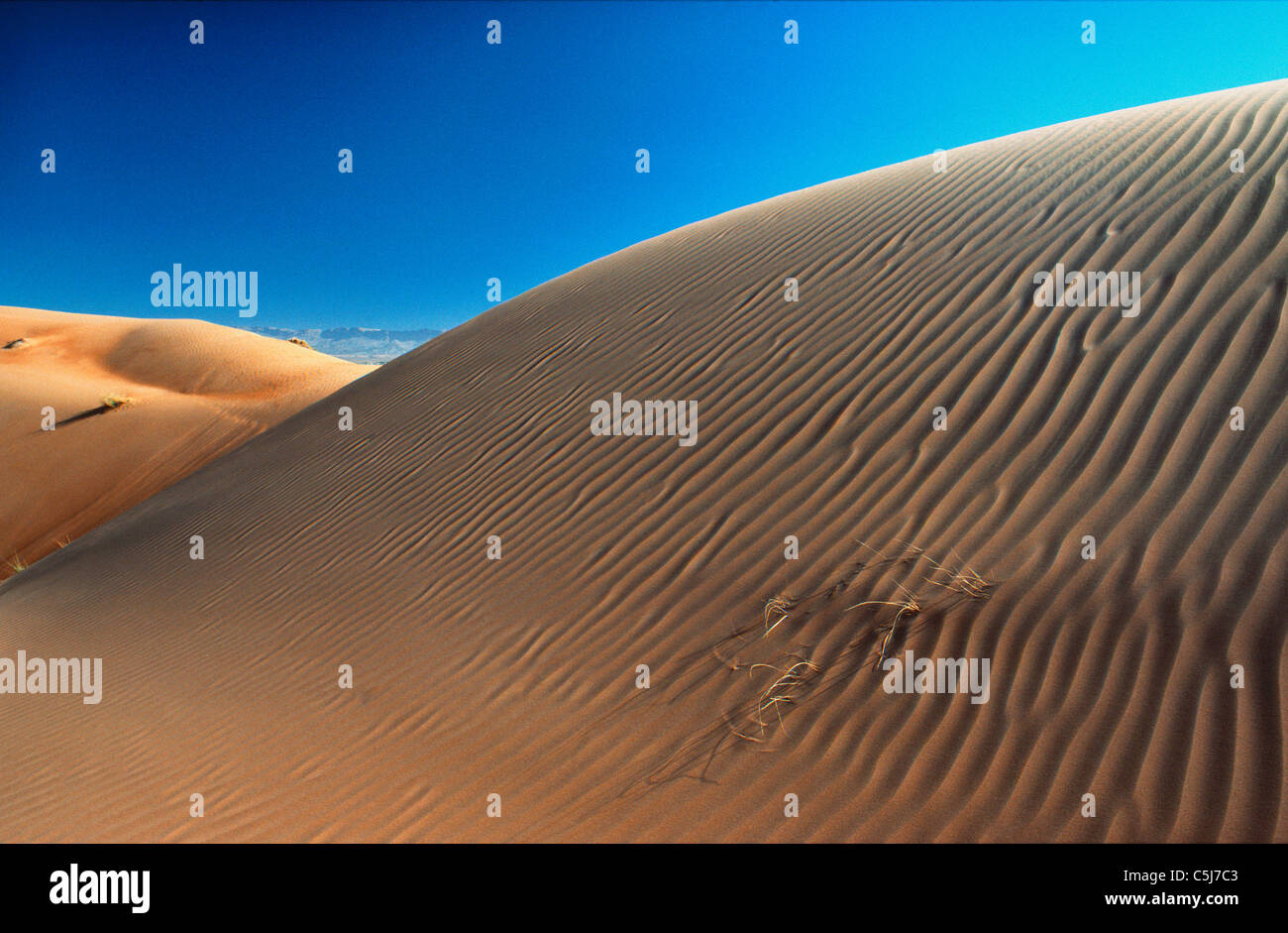 Sand-dunes in the desert of Oman near the border with Saudi Arabia ...
