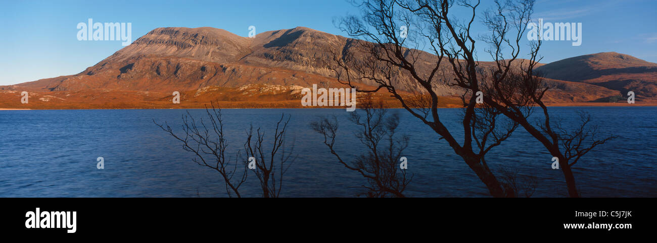 Early light on the long ridge of the mountain Arkle, seen through bare ...
