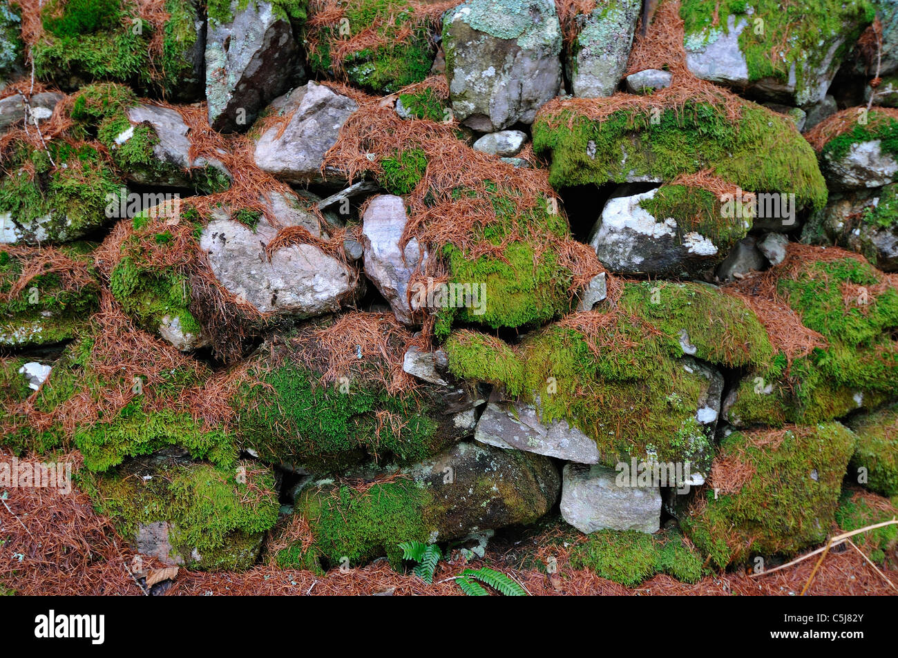Tumble down stone wall hi-res stock photography and images - Alamy