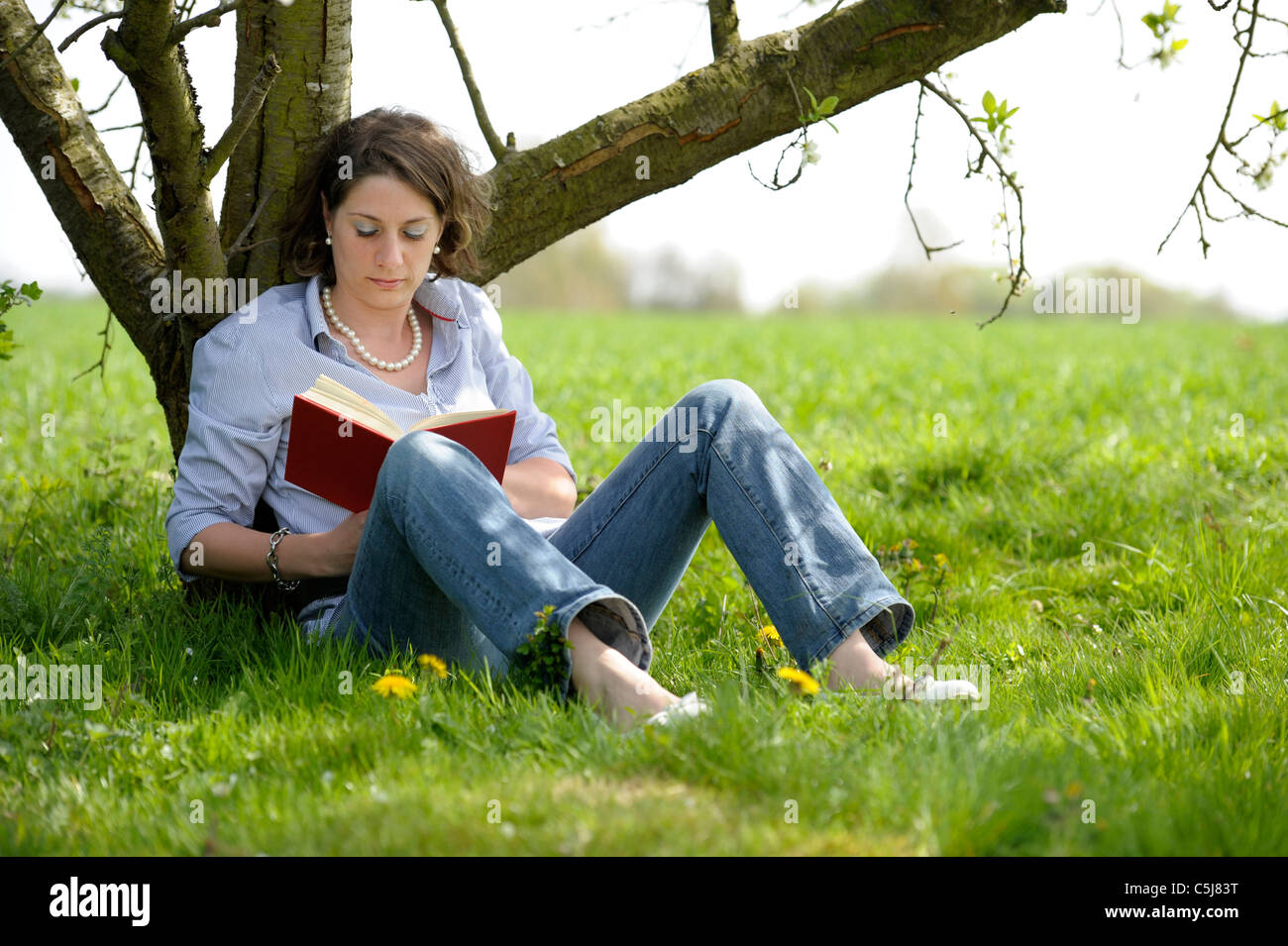 woman reading a book under a tree in the garden Stock Photo - Alamy