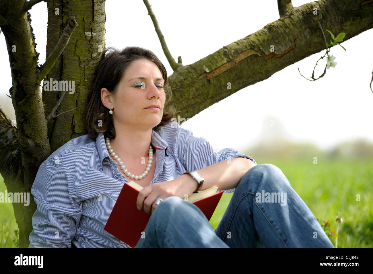 woman reading a book under a tree in the garden Stock Photo - Alamy