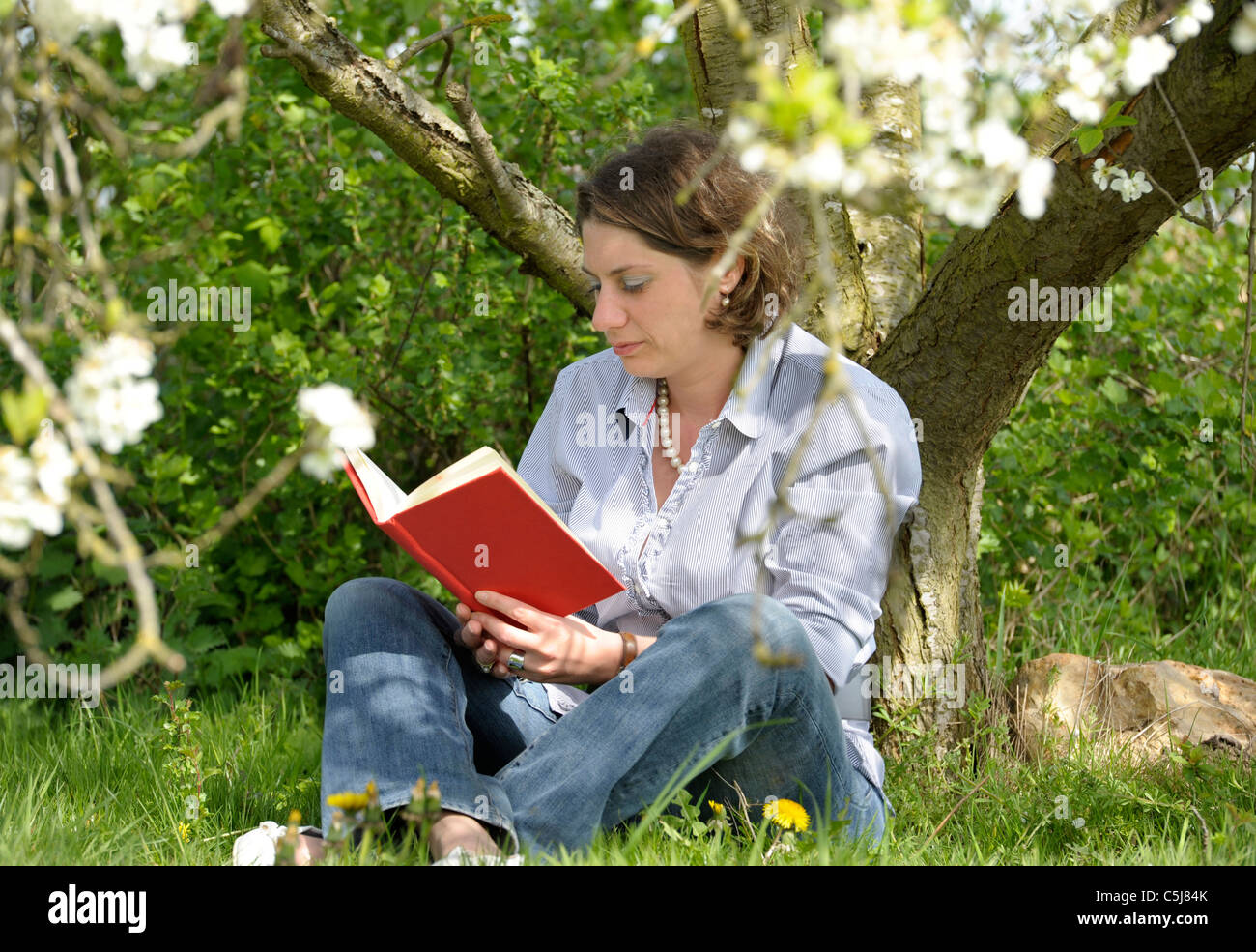 woman reading a book under a tree Stock Photo - Alamy