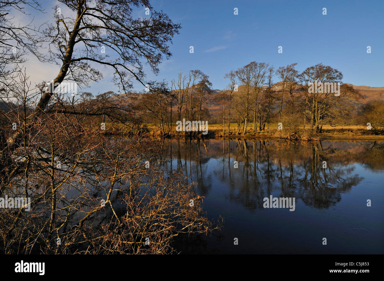 Bare winter trees line the banks of the calm River Lochay under a blue ...