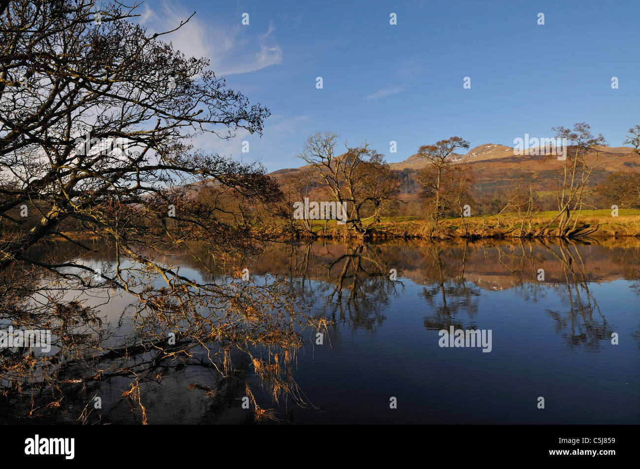 Bare winter trees line the banks of the calm River Lochay under a blue ...