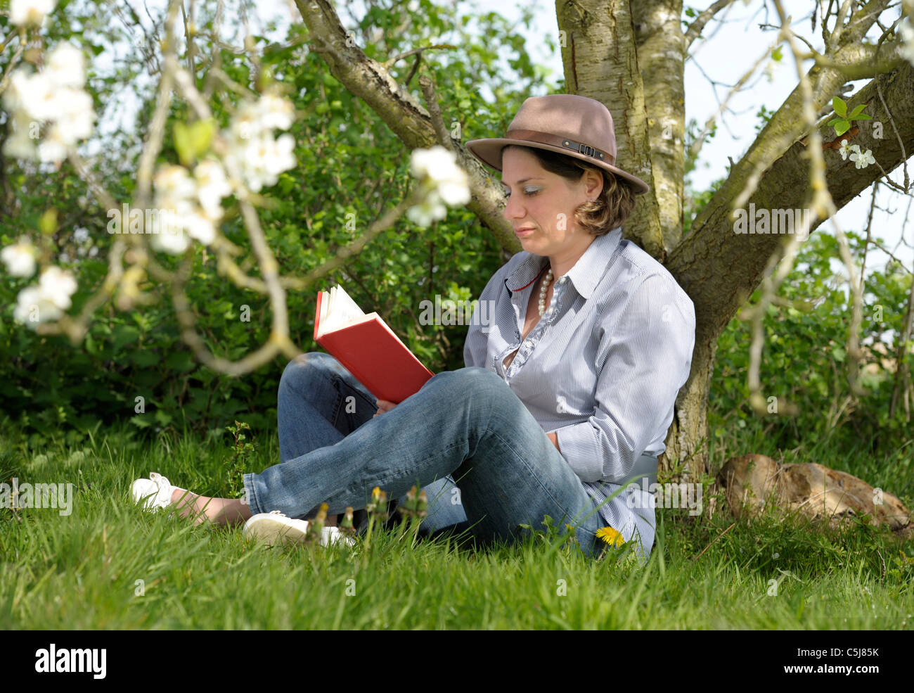 woman reading a book under a tree in the gardeb Stock Photo - Alamy