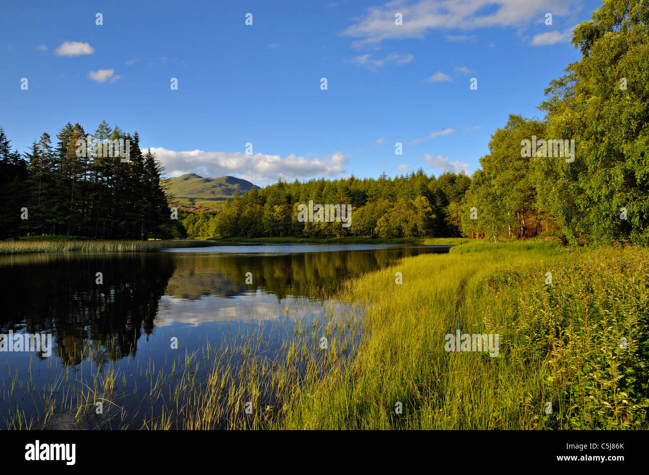 Lush green springtime greenery along the shores of Loch Iubhair, Glen ...