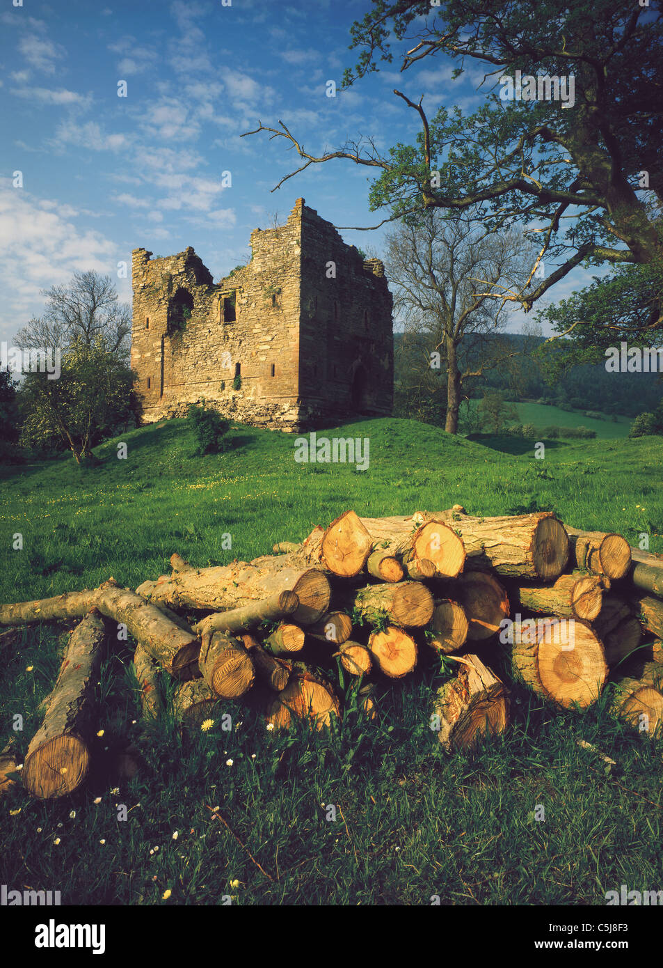 Logging history hi-res stock photography and images - Alamy