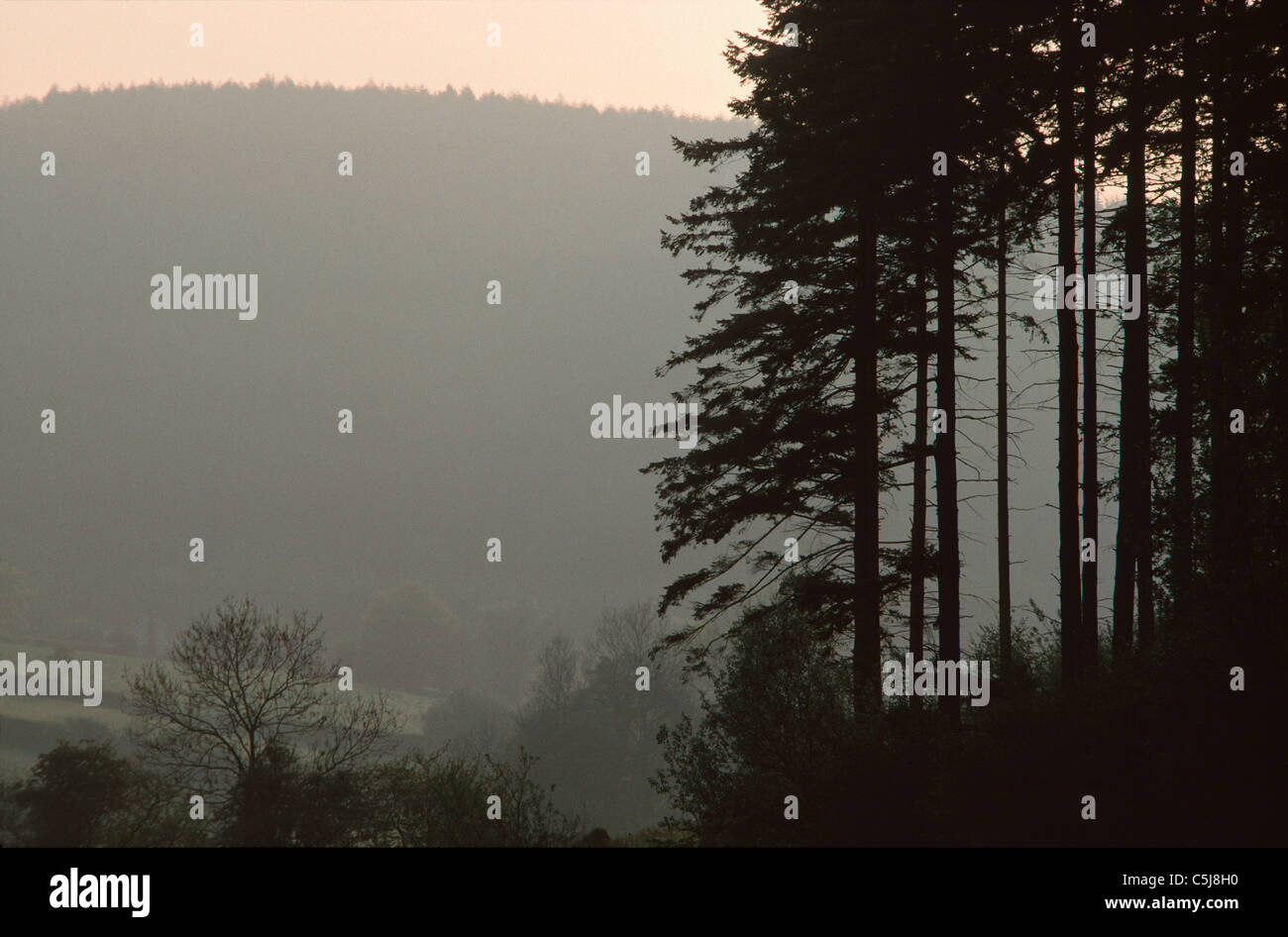 Battle of mortimers cross hi-res stock photography and images - Alamy