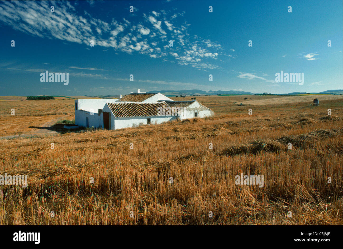 Traditional Spanish farmstead, hacienda or cortijo, surrounded by ...
