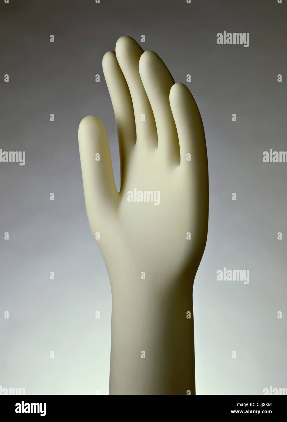 Still-life of surgical glove on dummy hand or mould Stock Photo - Alamy