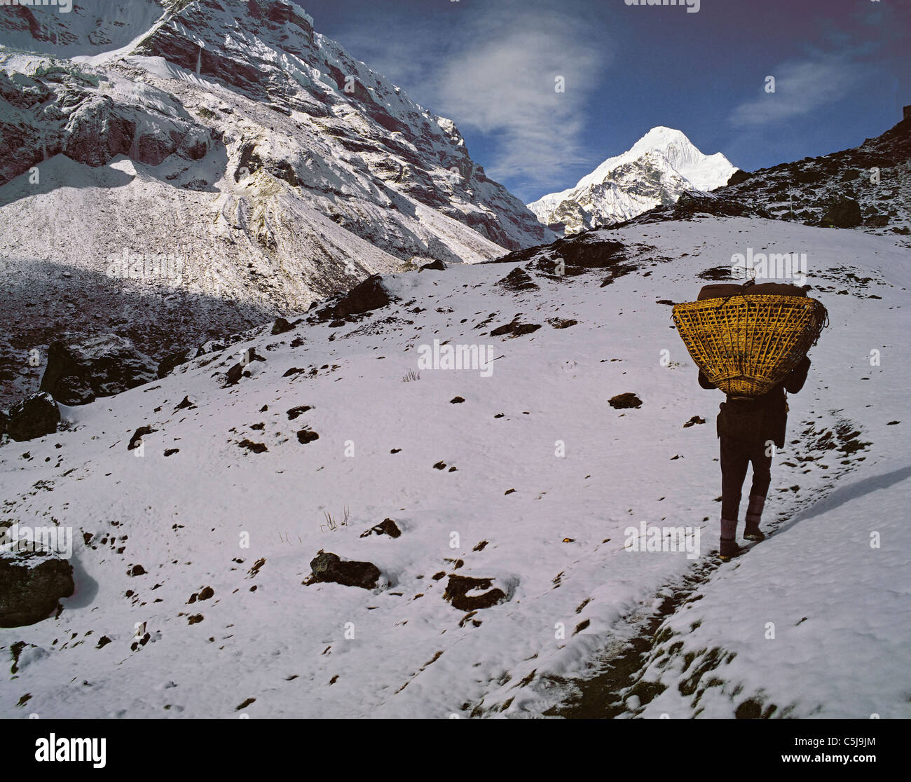 A trekking porter comes up the Barun valley with snowpeaks visible ...