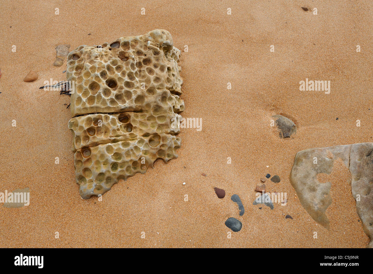 Honeycomb erosion sandstone hi-res stock photography and images - Alamy