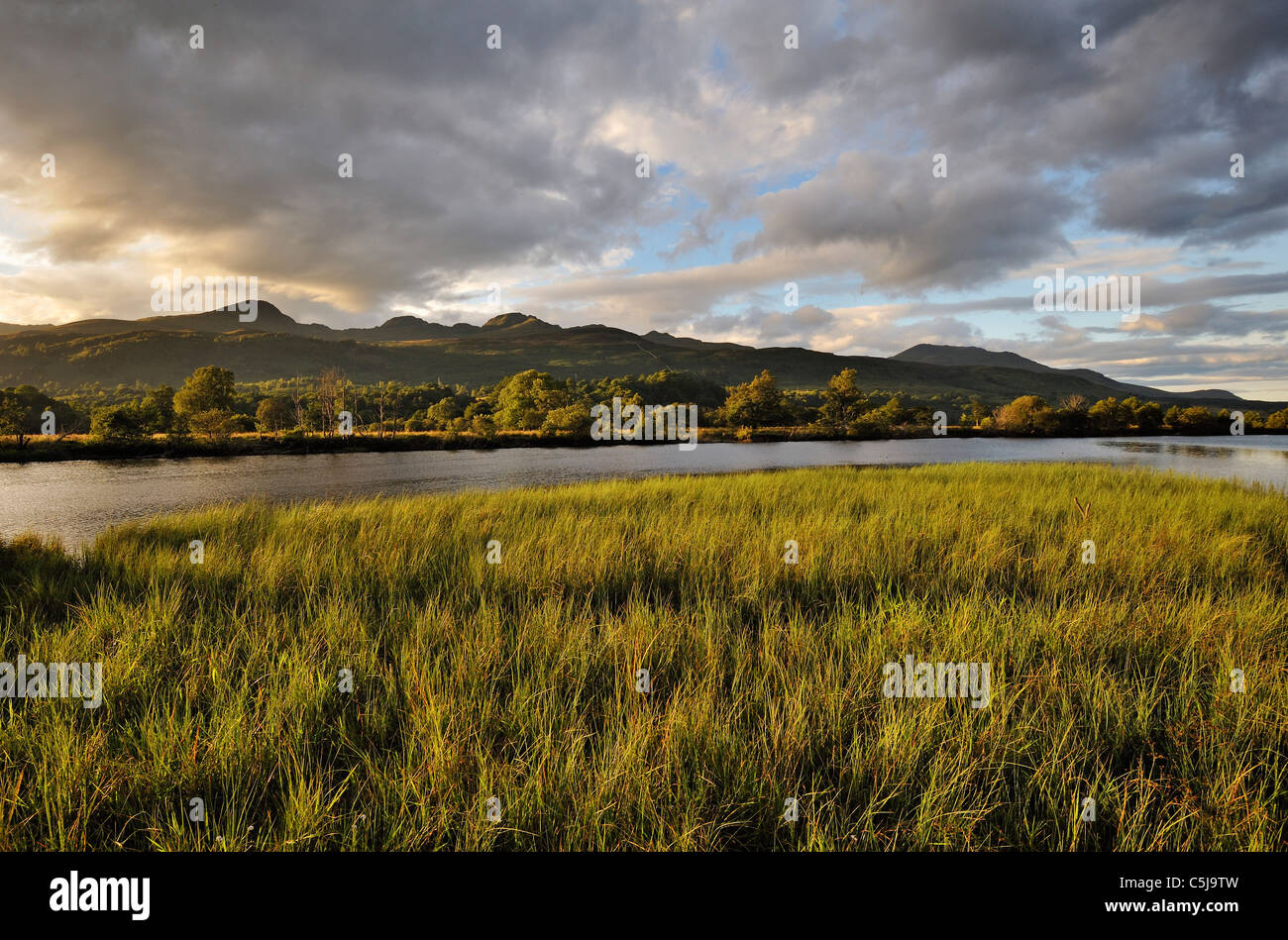 Tarmachans hi-res stock photography and images - Alamy