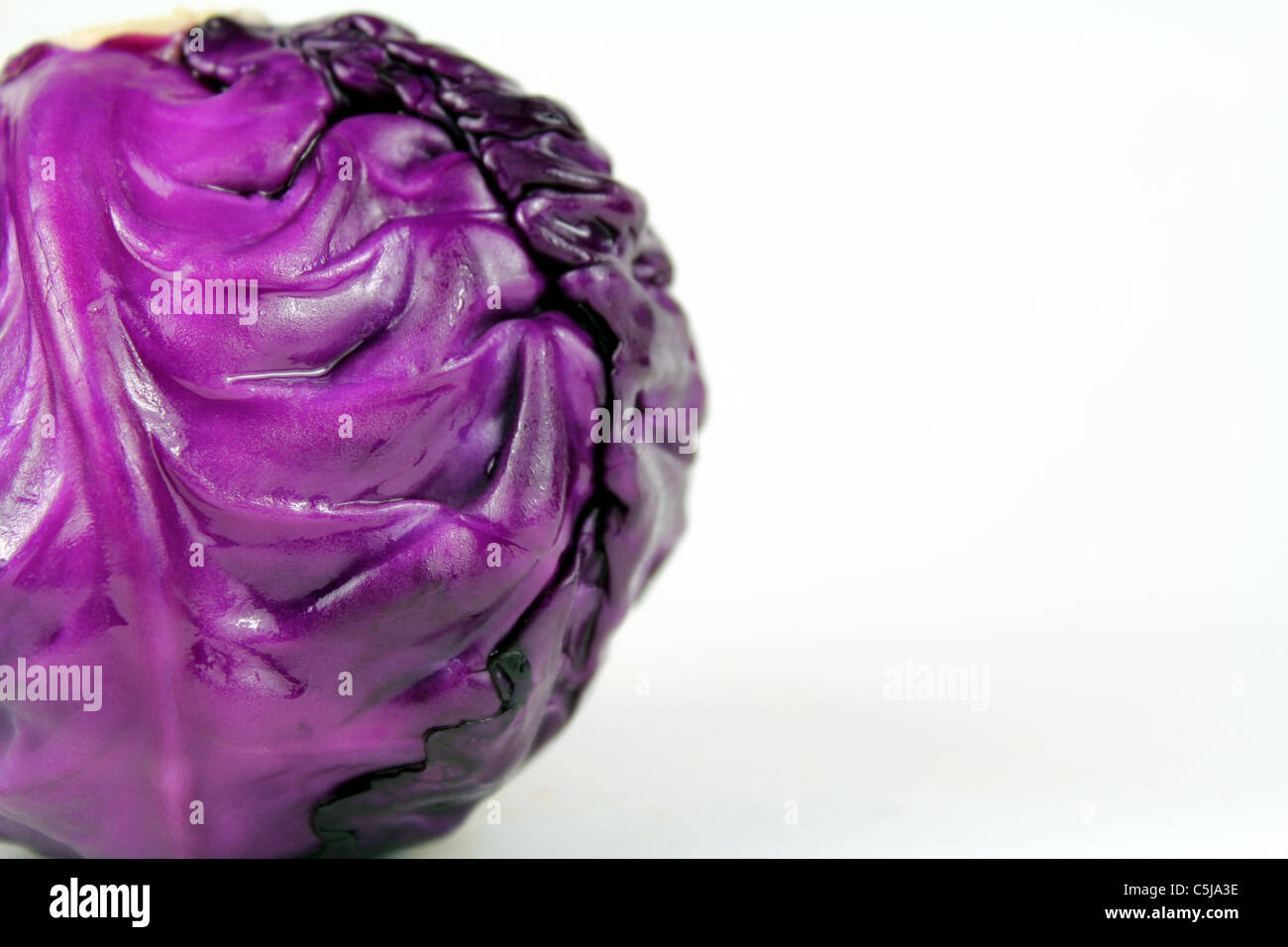 Color cabbage hi-res stock photography and images - Alamy