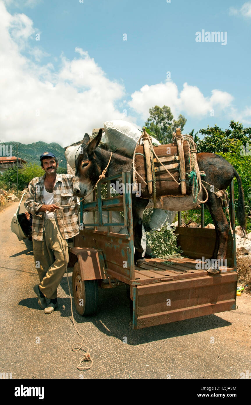 Donkey car transport South Turkey Farmer Turkish between Kas and ...