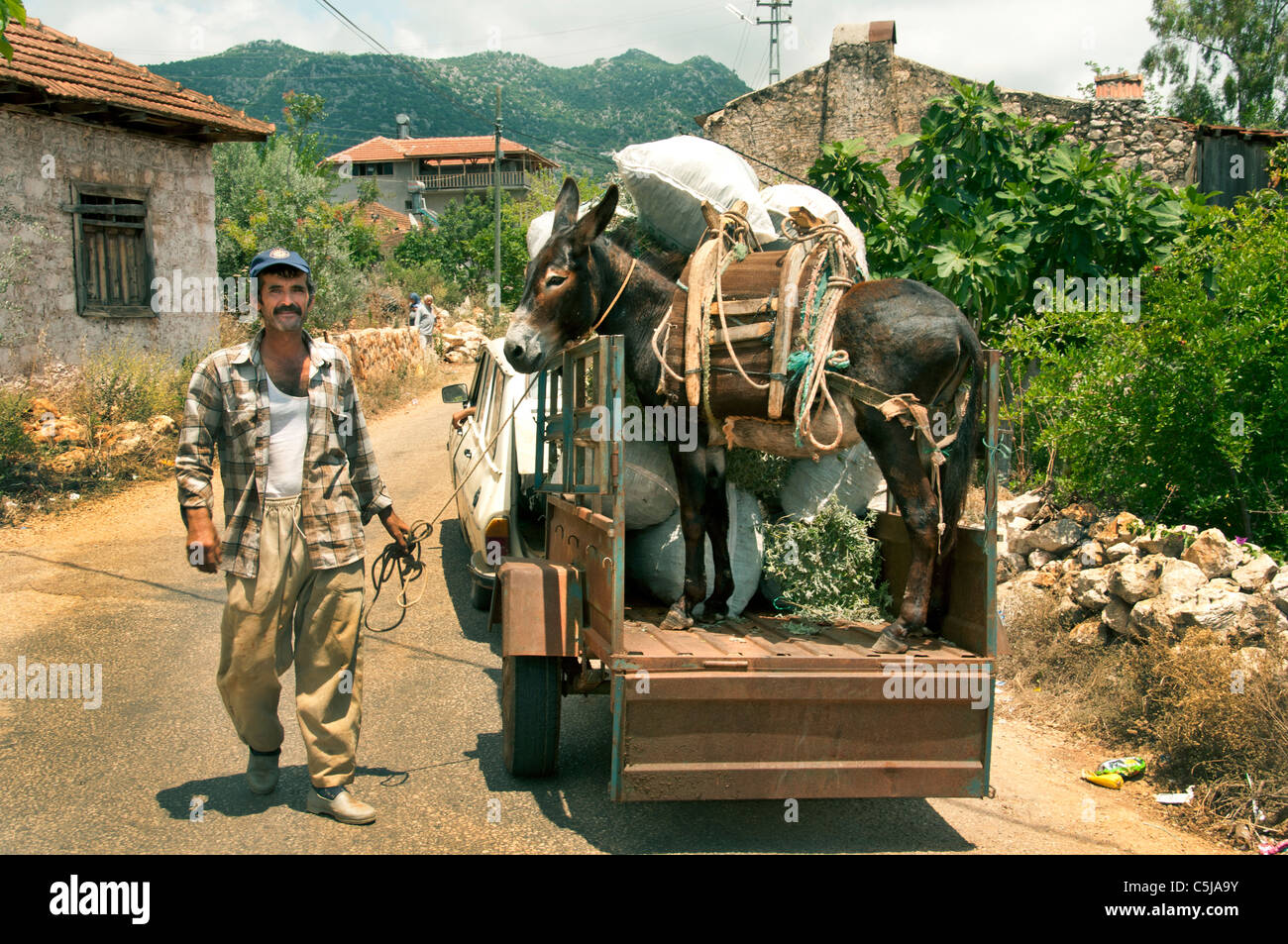 Donkey car transport South Turkey Farmer Turkish between Kas and ...