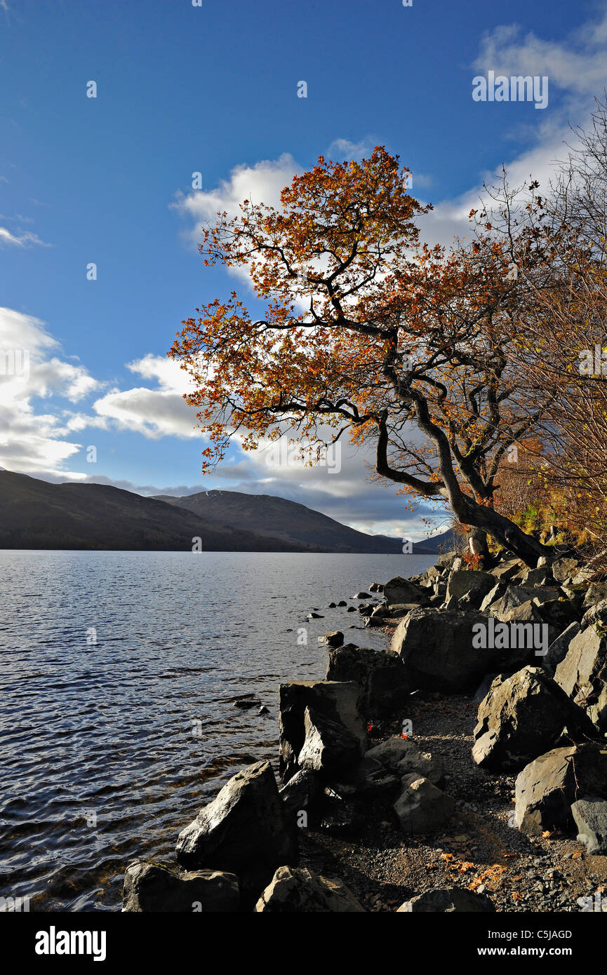 Lochearnhead autumn hi-res stock photography and images - Alamy
