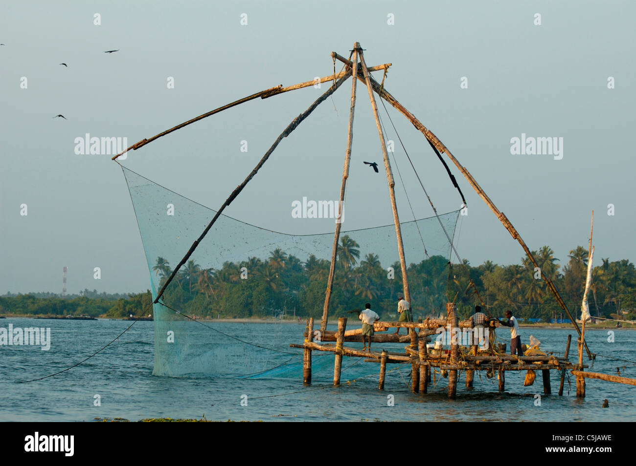 India, Kerala, Fort Cochin (Cochi, Kochi). Chinese style fishing net in ...