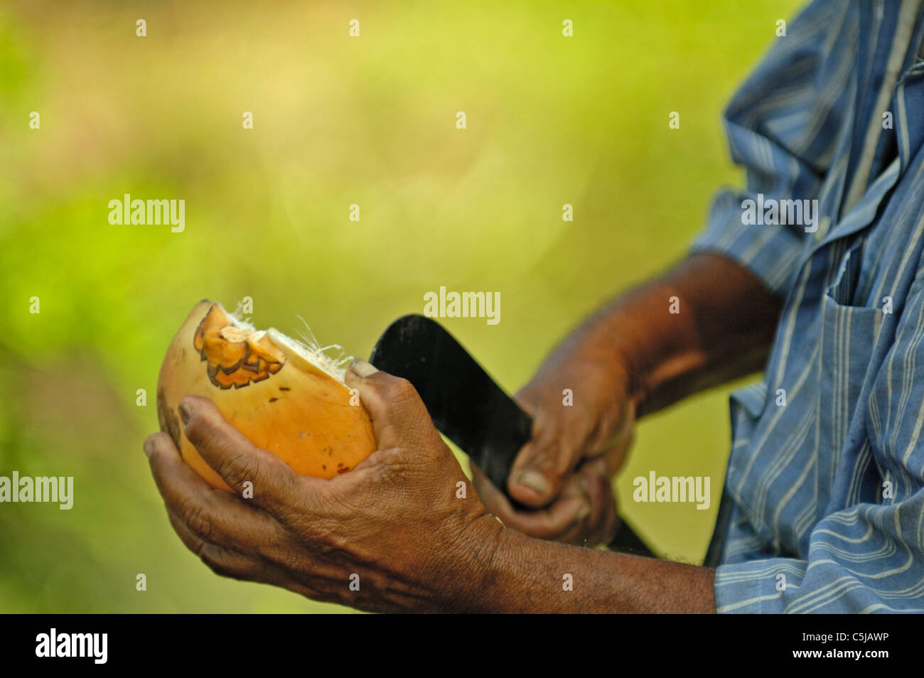 Slasher hi-res stock photography and images - Alamy