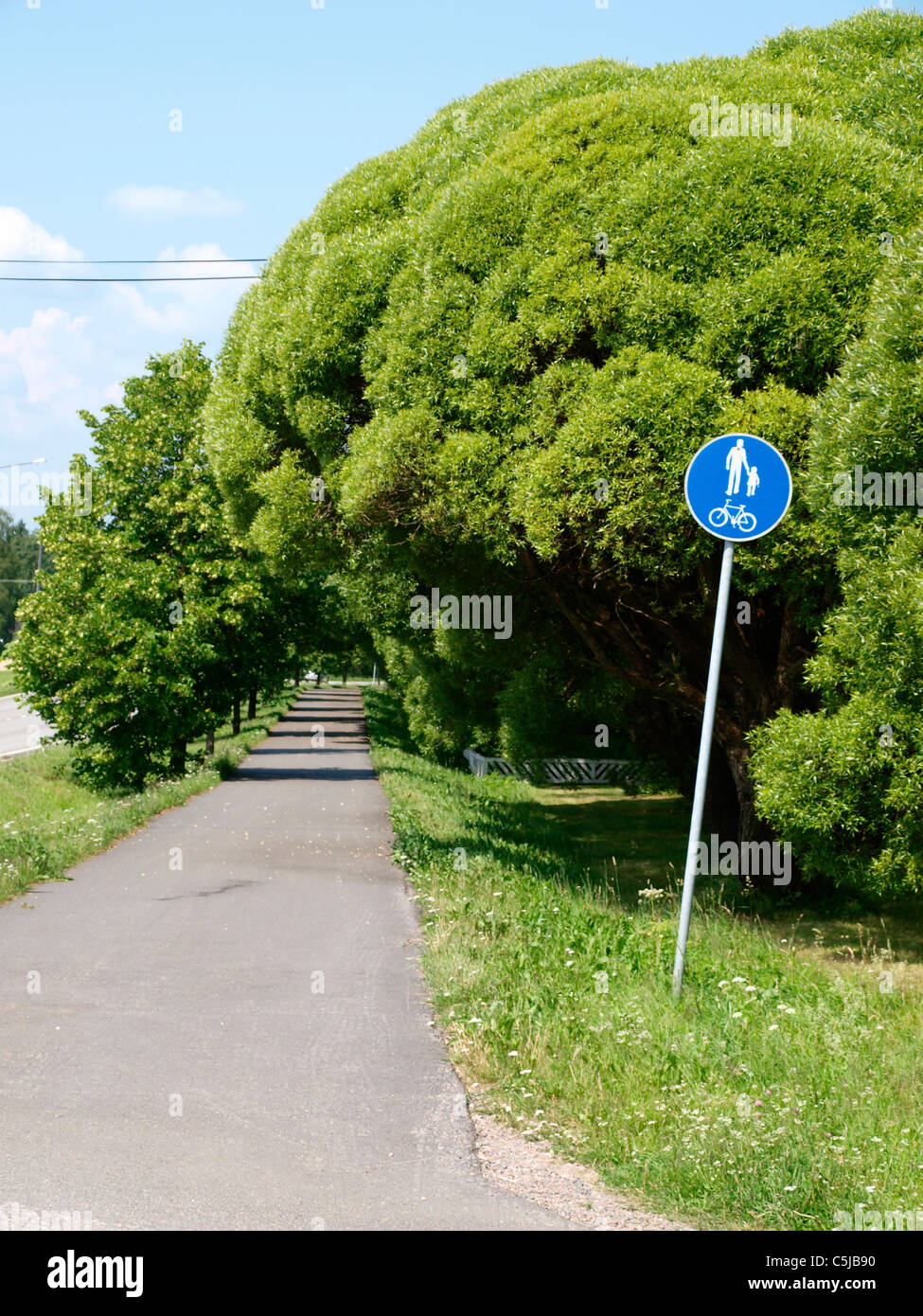 The bicycle path in Finland Stock Photo - Alamy