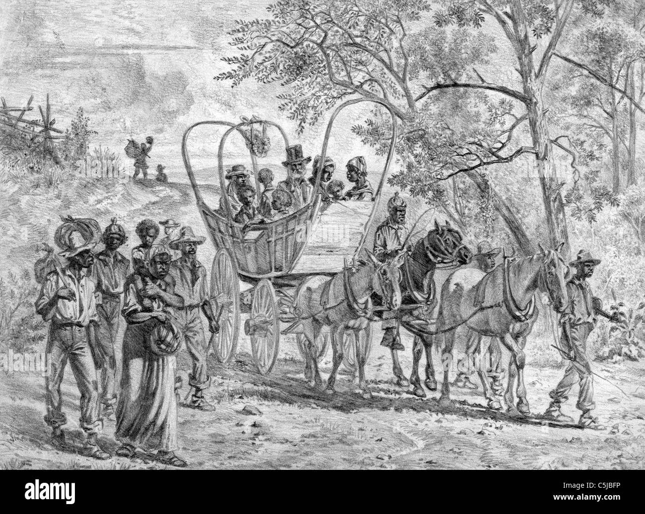 African American refugees coming into the Union lines near Culpeper ...