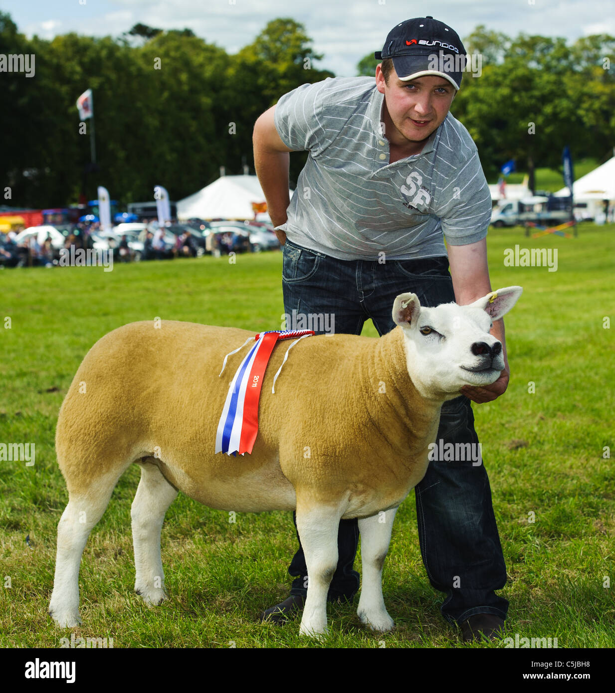 Champion sheep hi-res stock photography and images - Alamy
