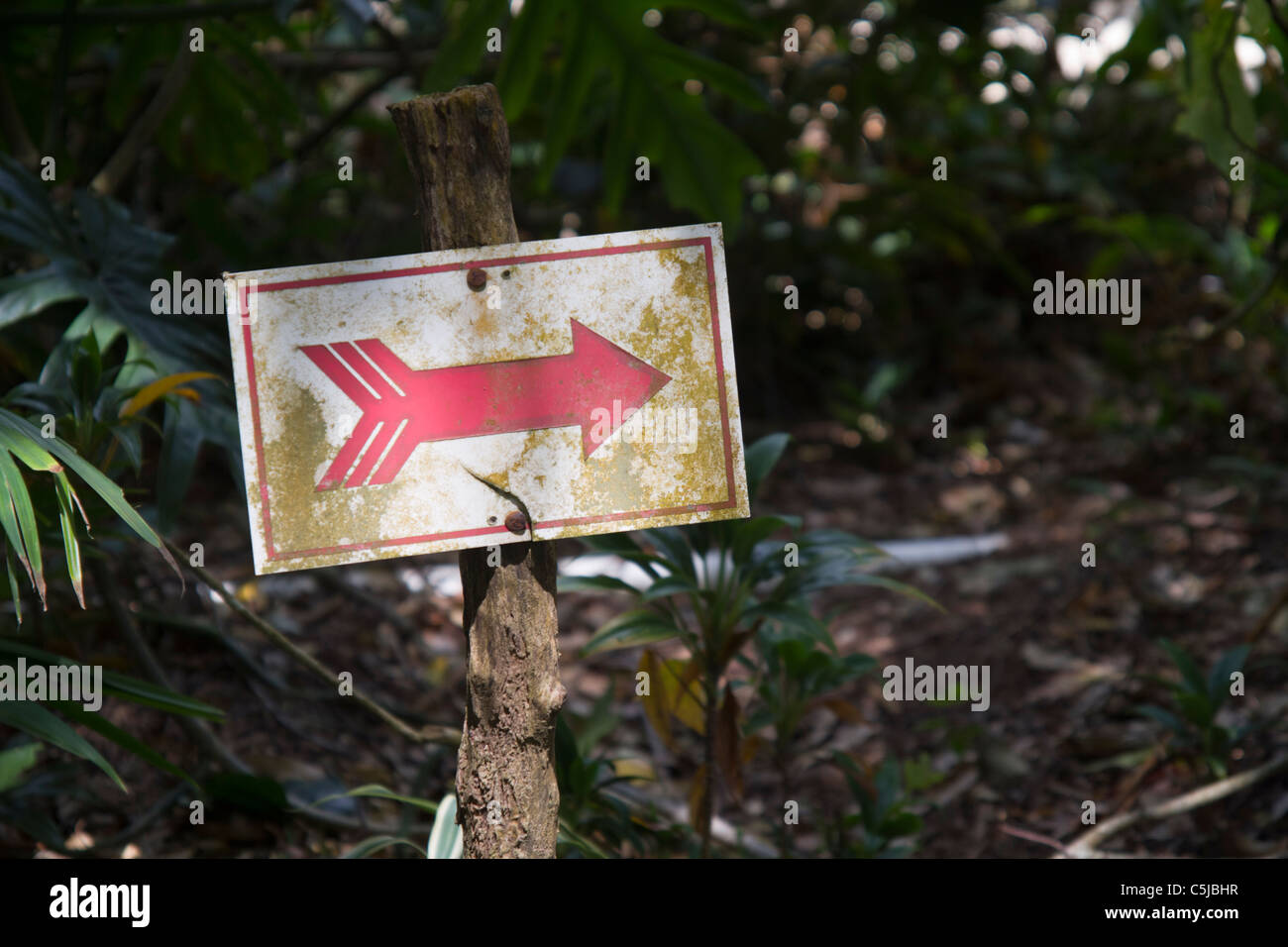Red arrow hi-res stock photography and images - Alamy