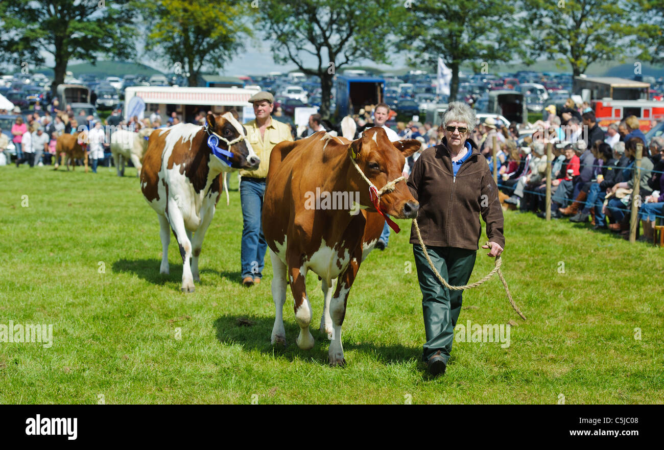 Biggar agricultural show biggar south hi-res stock photography and ...