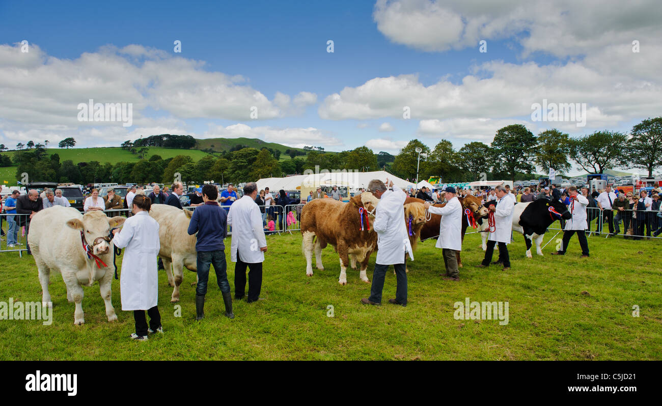 Local agricultural show held annually in the town of BIGGAR in South ...