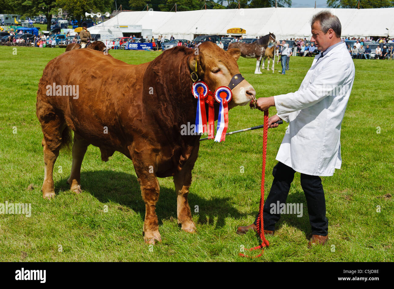 Local agricultural show held annually in the town of BIGGAR in South ...