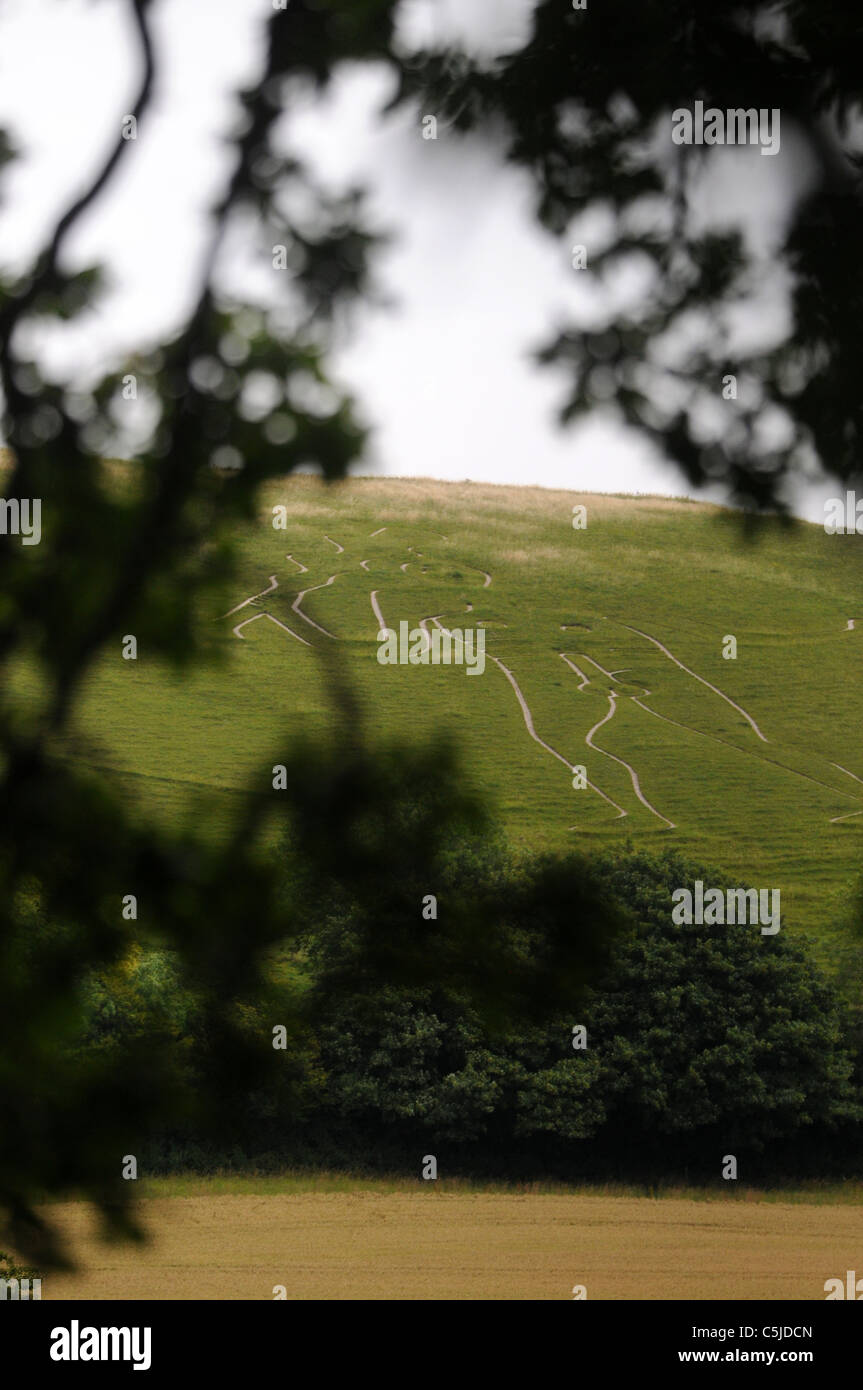 Cerne Abbas giant, Near Dorchester, Dorset Stock Photo - Alamy