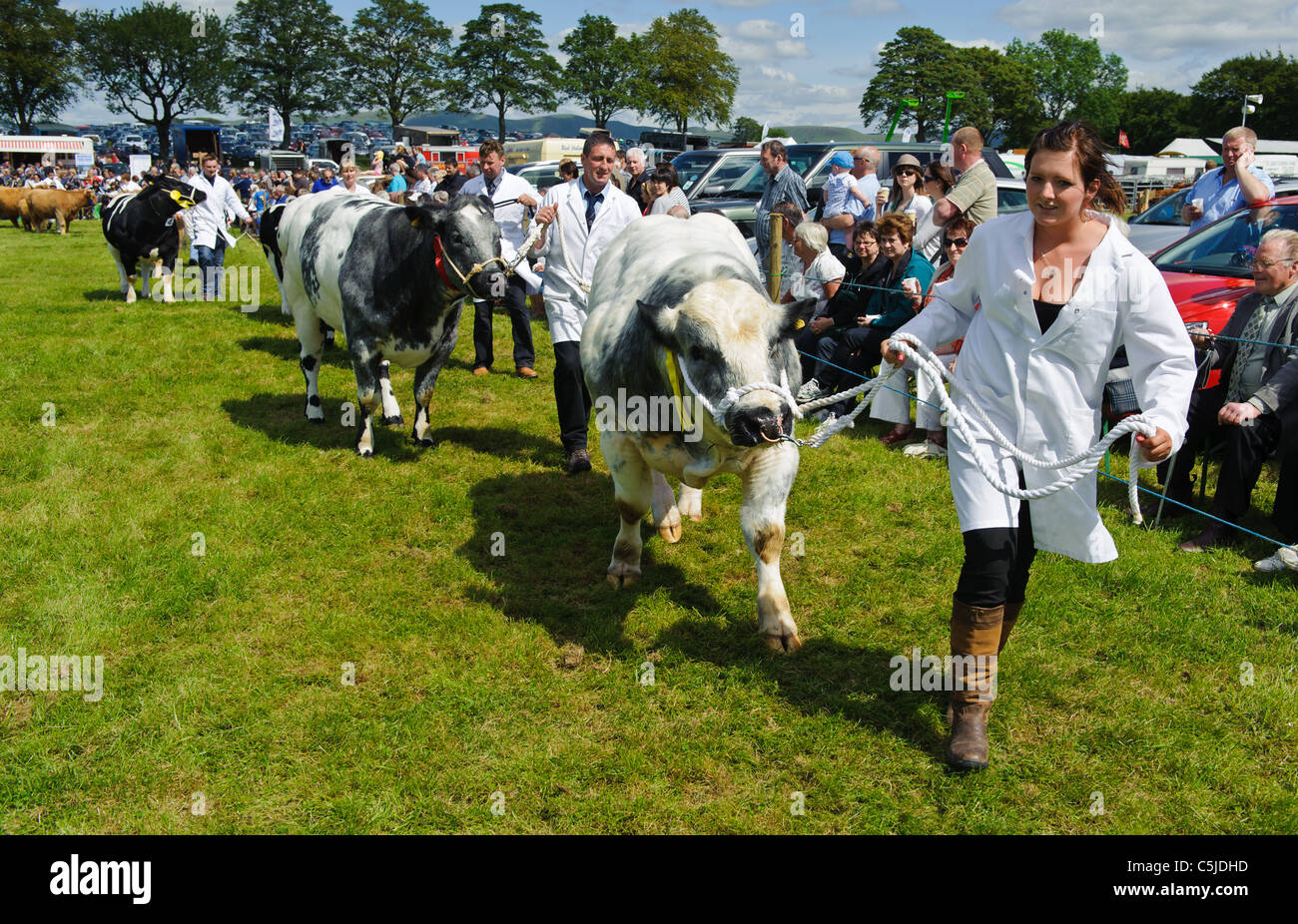 Biggar agricultural show biggar south hi-res stock photography and ...
