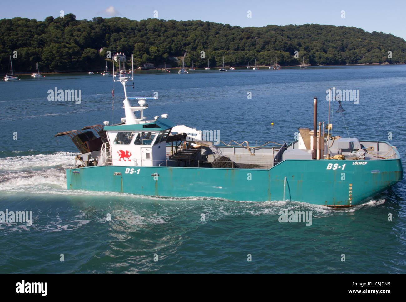 Mussel farming wales hi-res stock photography and images - Alamy