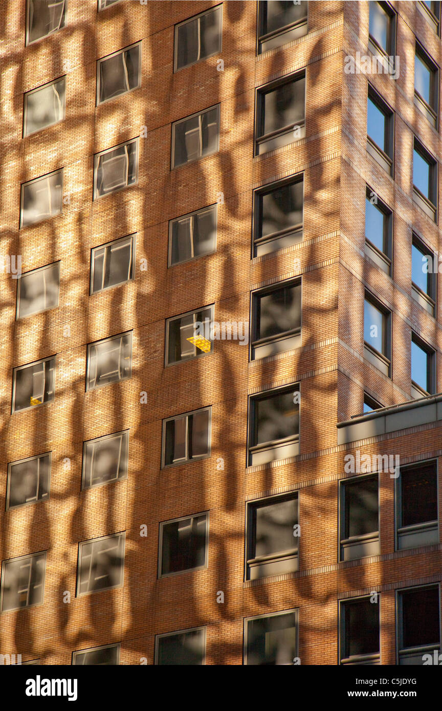 Building abstracts windows Stock Photo - Alamy