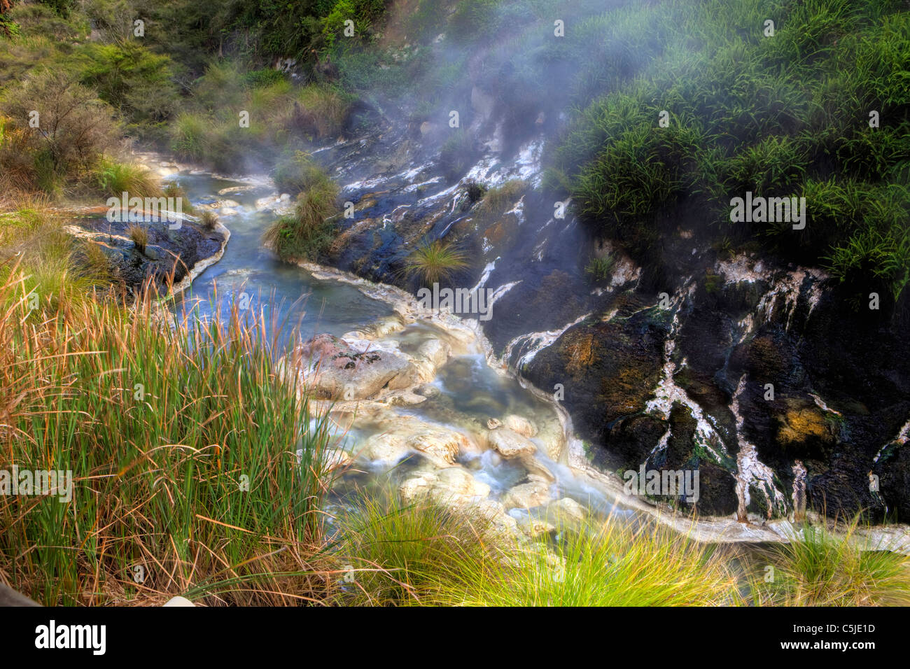 Rotorua volcanic landscapes hi-res stock photography and images - Alamy