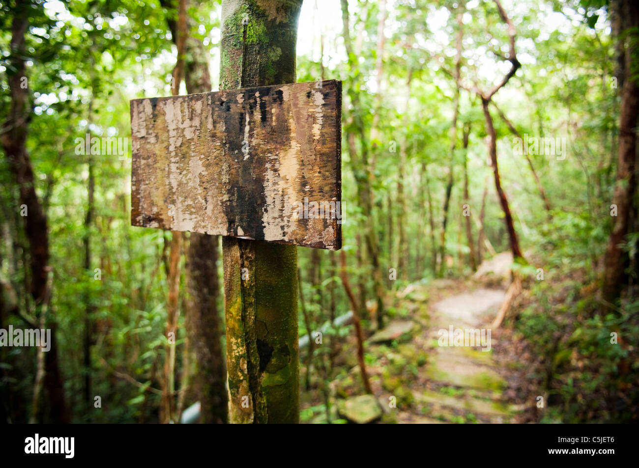 Blank sign post in the jungle with a trail Stock Photo - Alamy