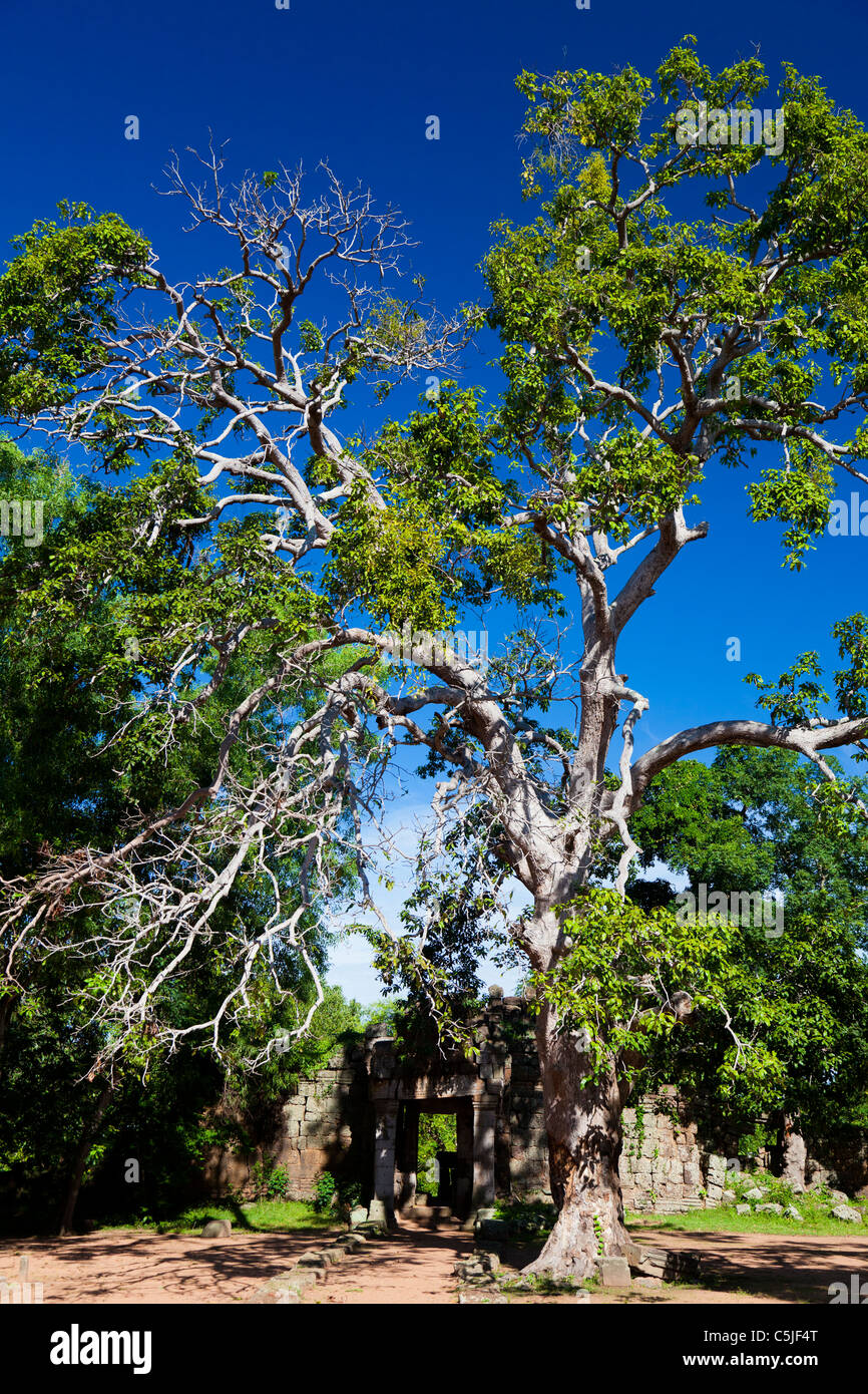 The 12th century Khmer temple Ta Prohm at Tonle Bati - Takeo Province ...