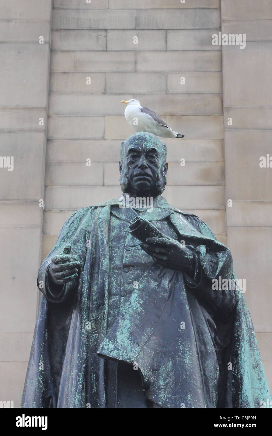 Seagull on the head of the William Rathbone statue in St Johns Garden ...
