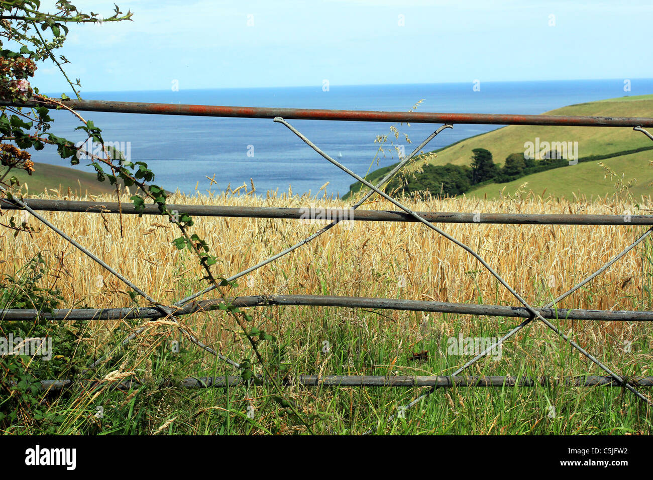 Gate,fields Devon cove,Fence post and cloud,misc, fence, farming, keep ...