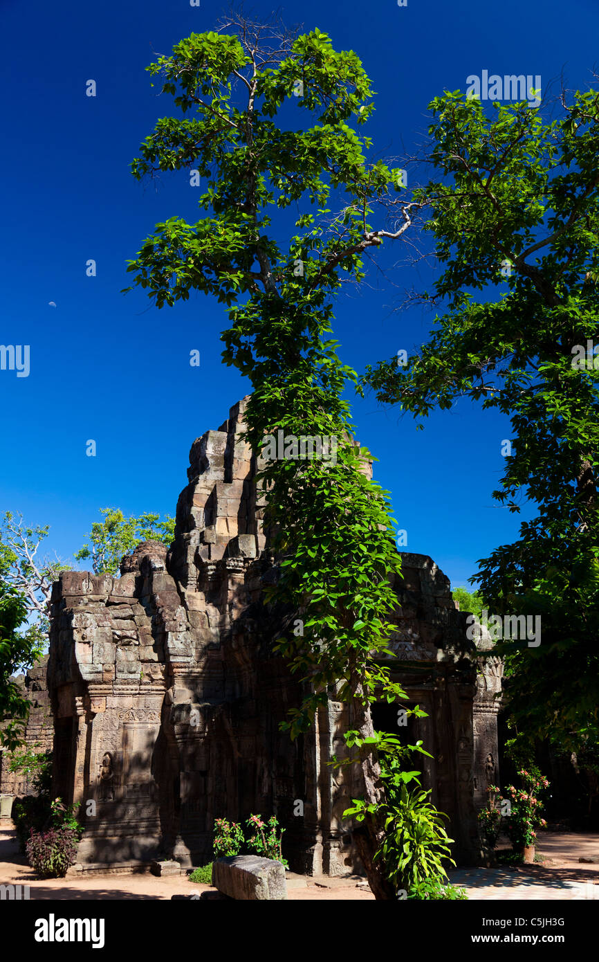 Large trees and the Khmer temple Ta Prohm at Tonle Bati - Takeo ...