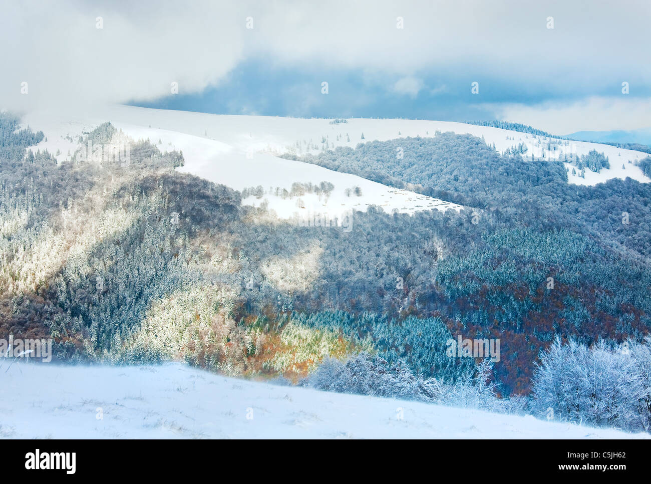 October mountain beech forest edge with first winter snow (inclement ...