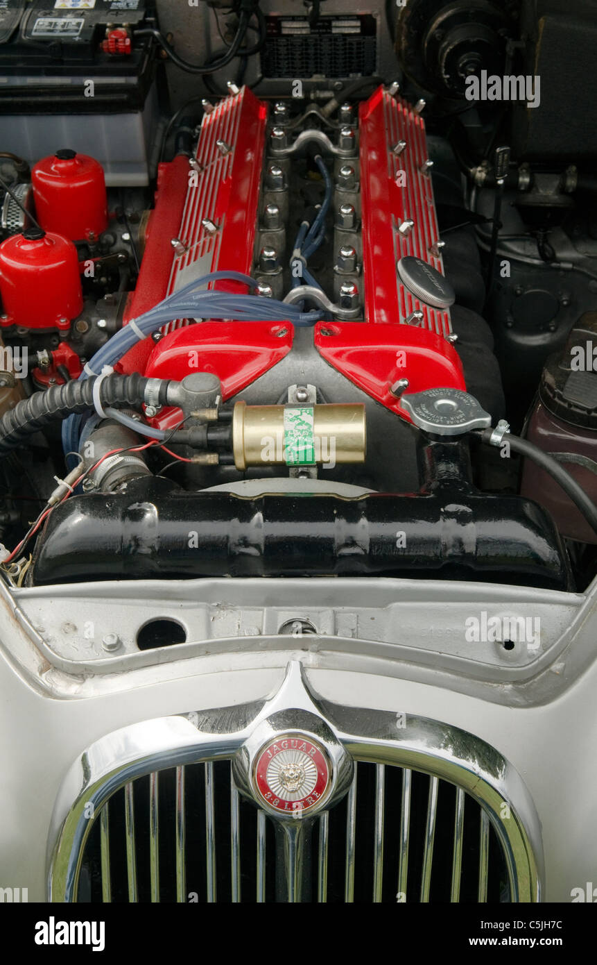 Jaguar 3.8 litre car engine compartment, radiator badge and grille ...