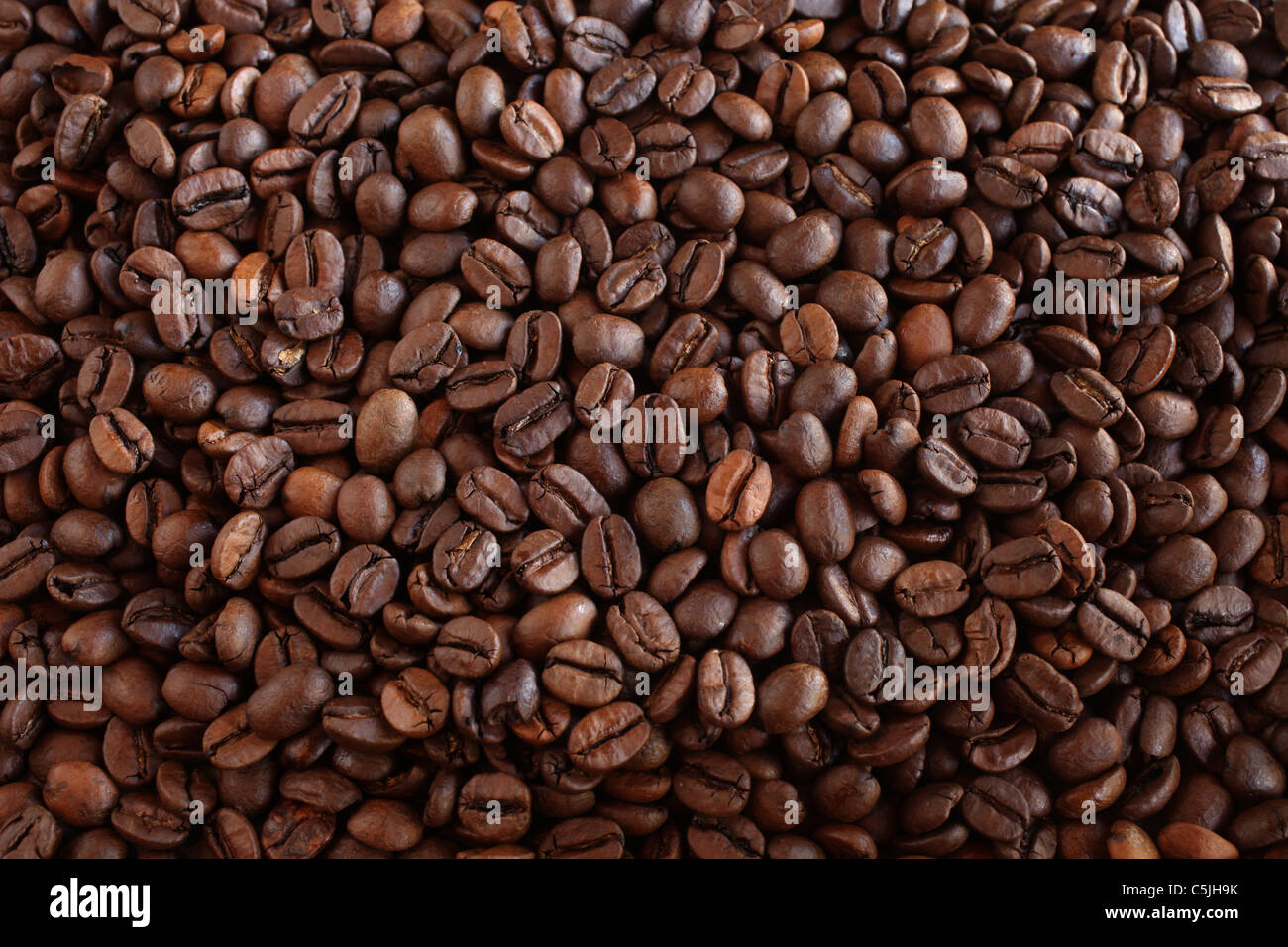 Close up of raw coffee beans Stock Photo - Alamy