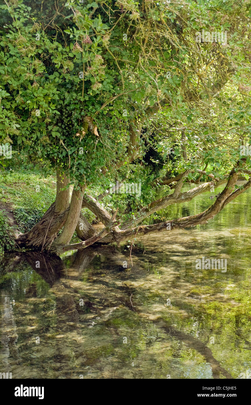 Buckinghamshire river wye hi-res stock photography and images - Alamy