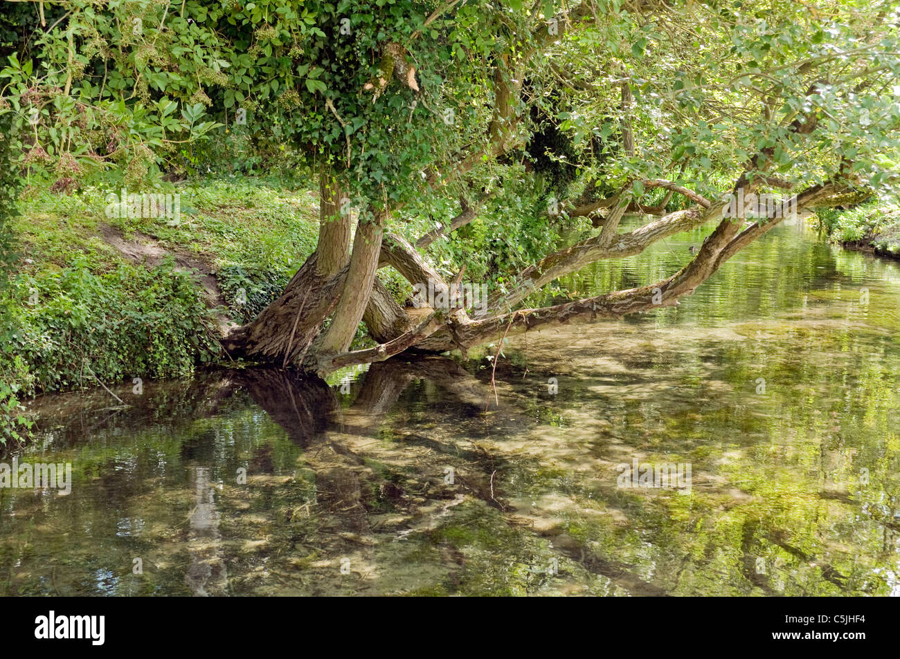 Buckinghamshire river wye hi-res stock photography and images - Alamy