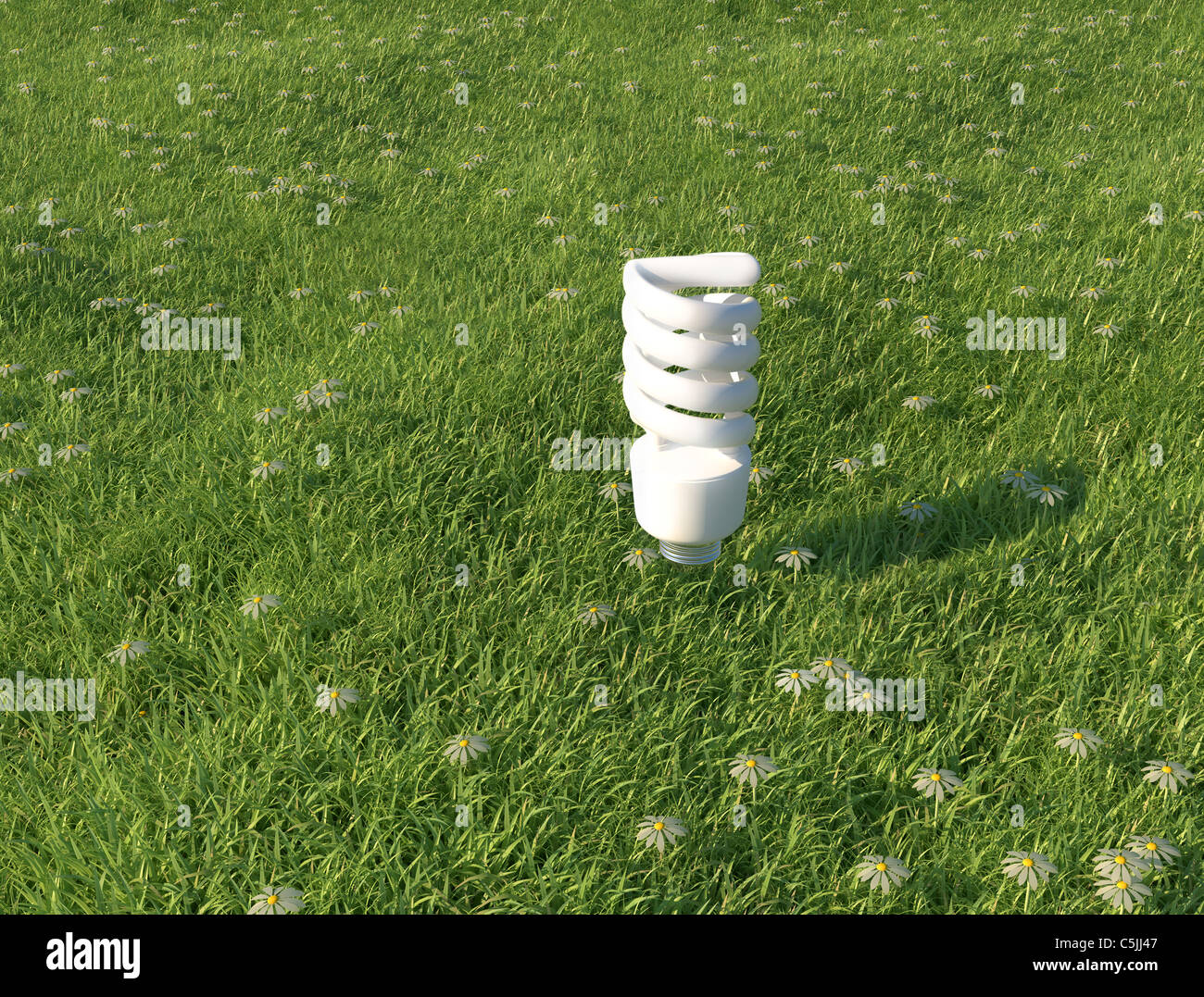 fluorescent light bulb on grass lawn - eco concept Stock Photo - Alamy